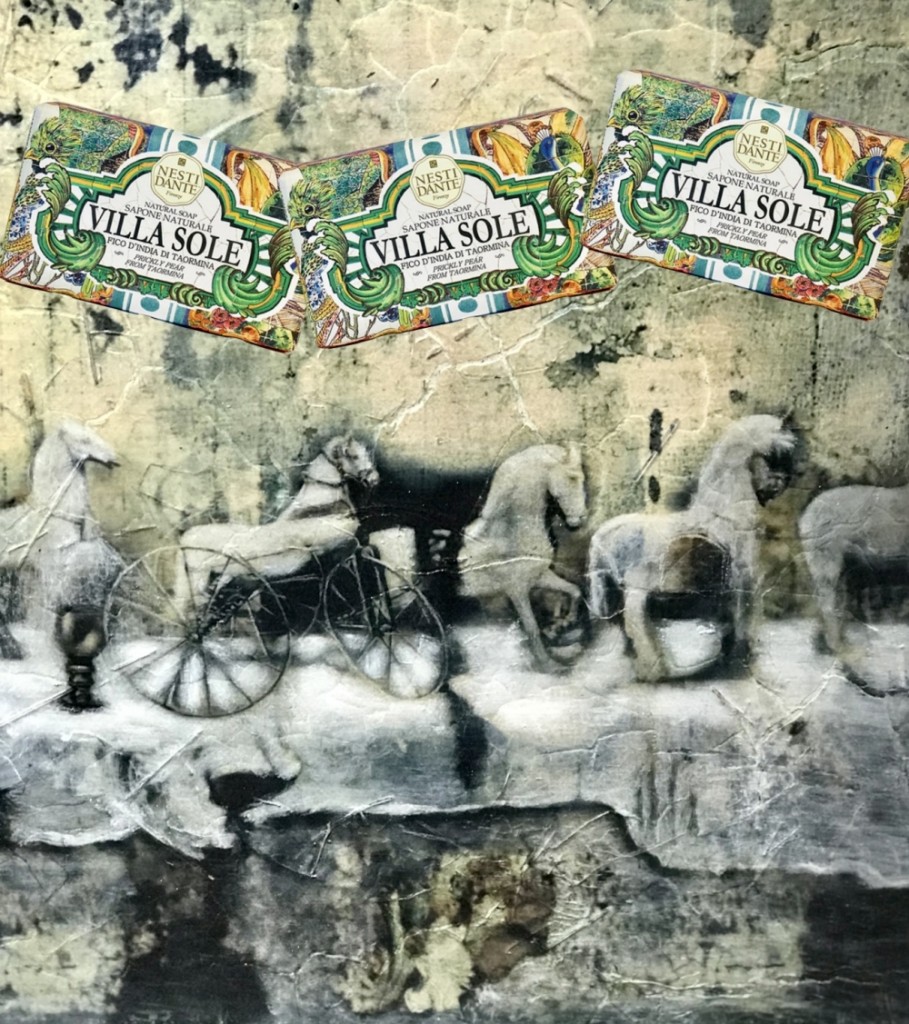 Nesti Dante Villa Sole Prickly Pear Soap | Naturlig hud- og hårpleie ...